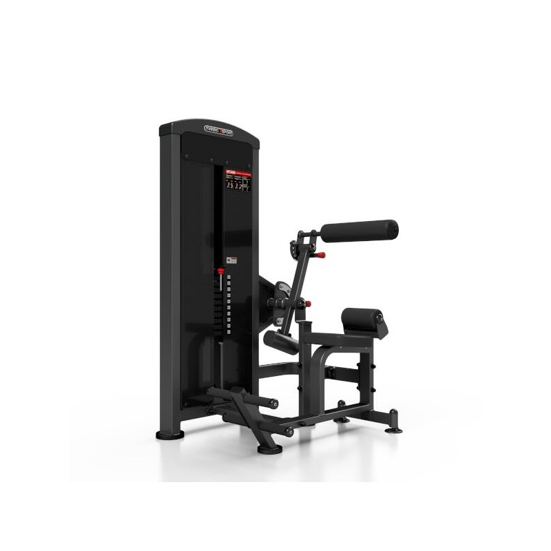 Station pro de musculation 2 en 1 back extension et crunch abdominale